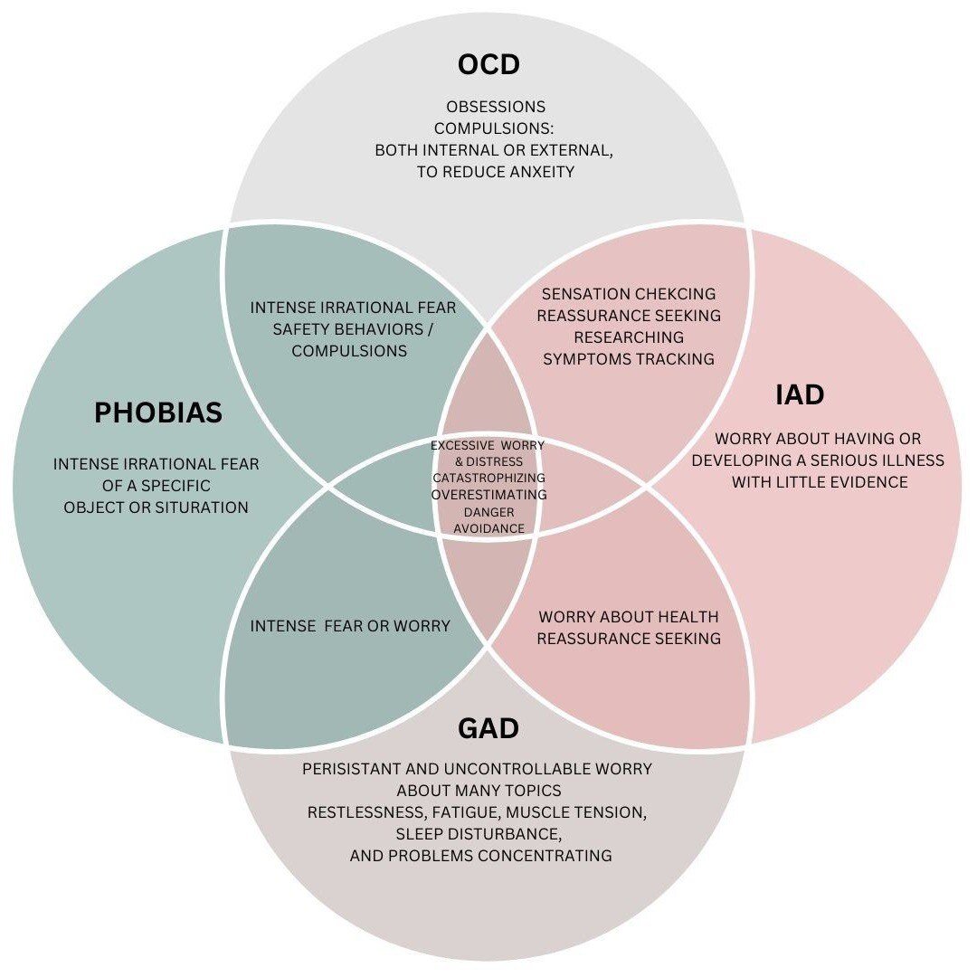KDH's blogs for Therapists by Therapists | The difference between OCD ...